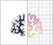 Brain Atlas