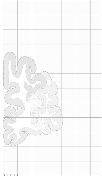 The Human Brain · Atlas of the Human Brain · Virtual Microscopy
