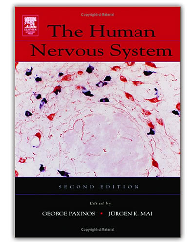 The Human Brain · Atlas of the Human Brain · Order · The Human Nervous ...